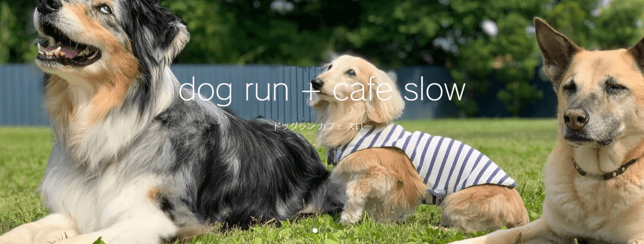 栃木のドッグカフェ特集！ペットOK施設人気ランキング｜Lutie（ルティエ）